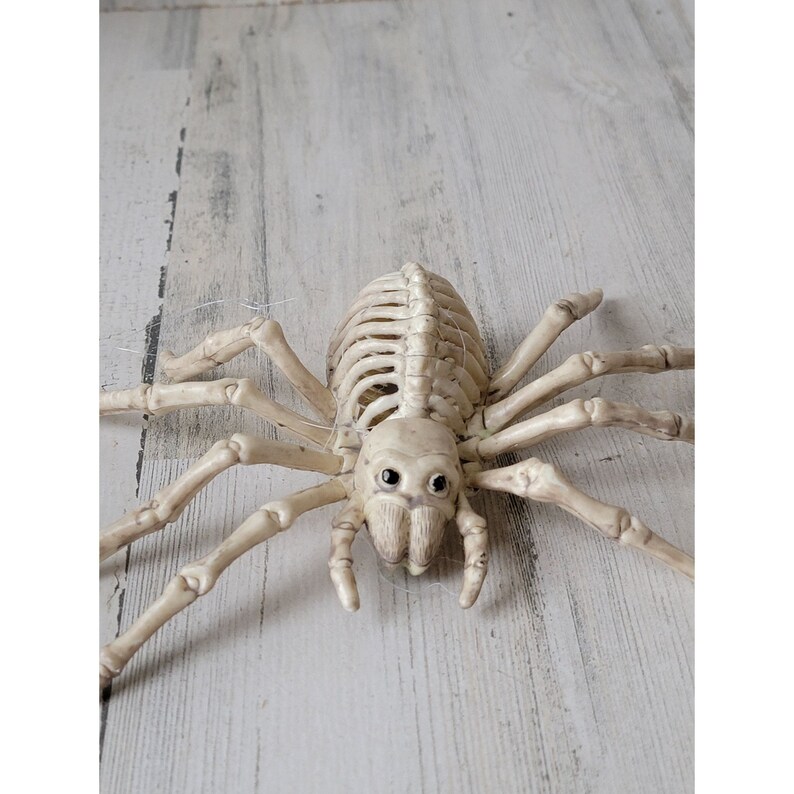 Skeleton Spider Tarantula Life-size Scary Halloween Prop Decor - Etsy