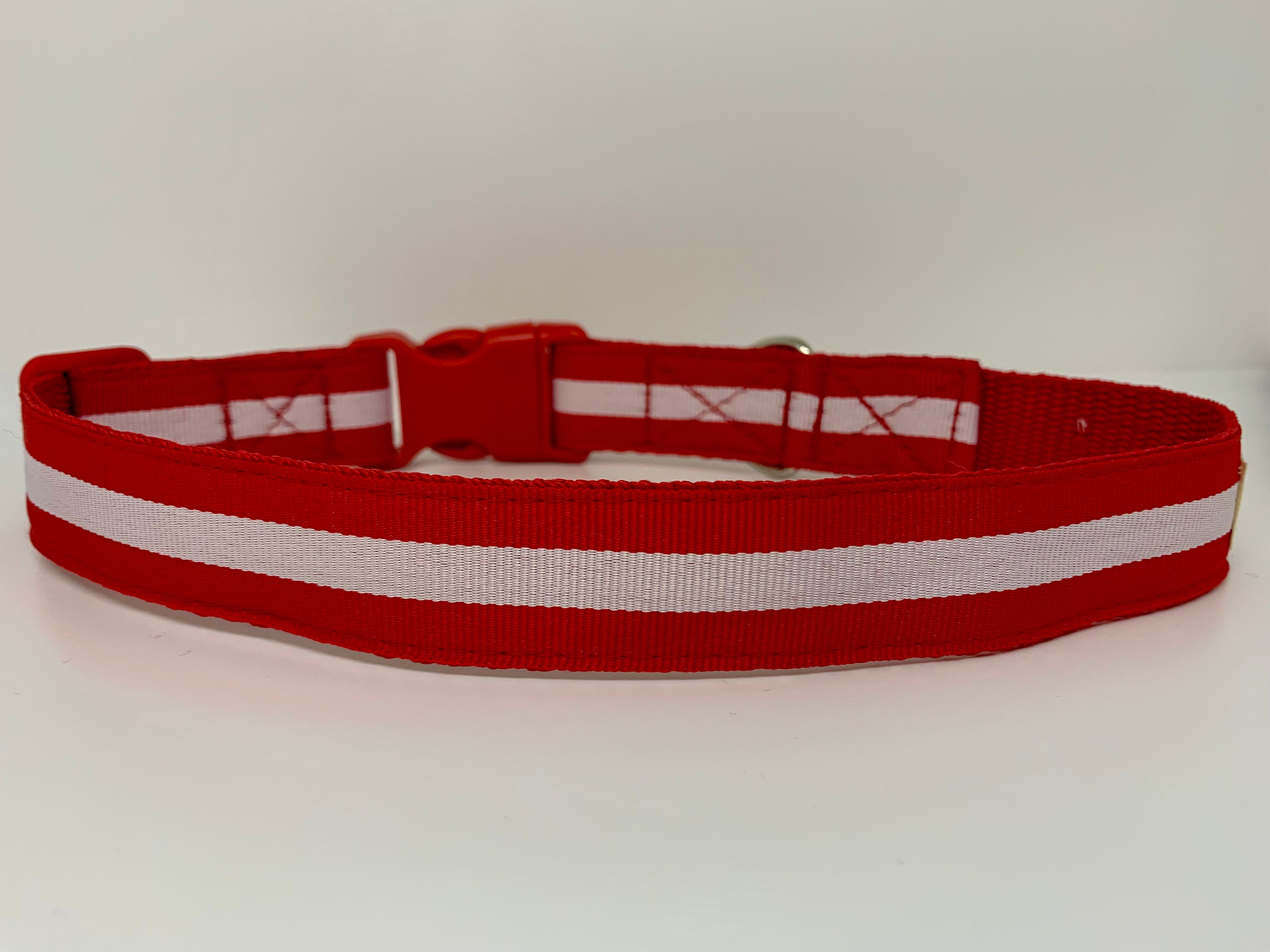 Red And White Striped Dog