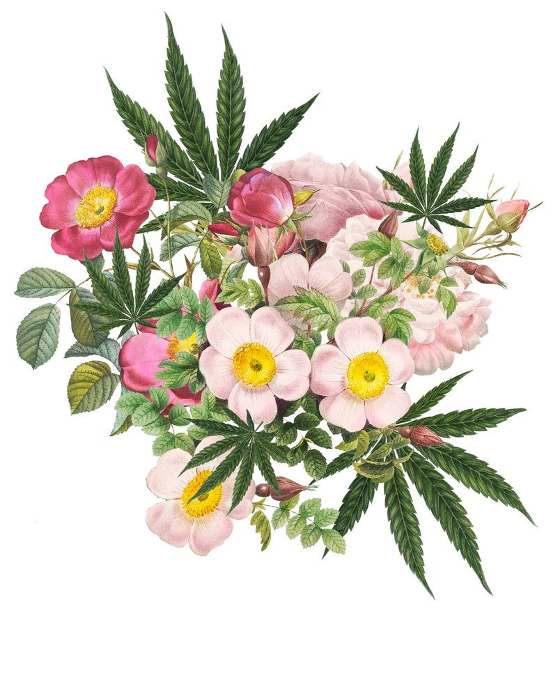 Cannabis Art Print, Cannabis Wall Art, Stoner Girl, Gifts for Her ...
