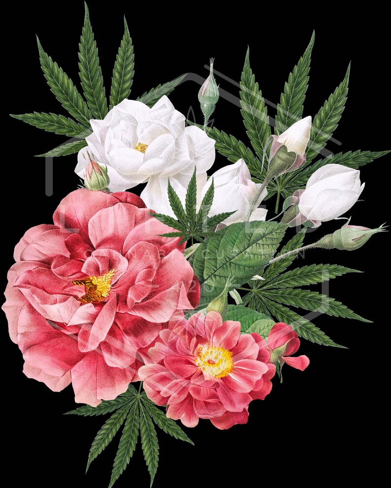 Weed Wall Art Floral Fine Art Cannabis Living Room Decor - Etsy