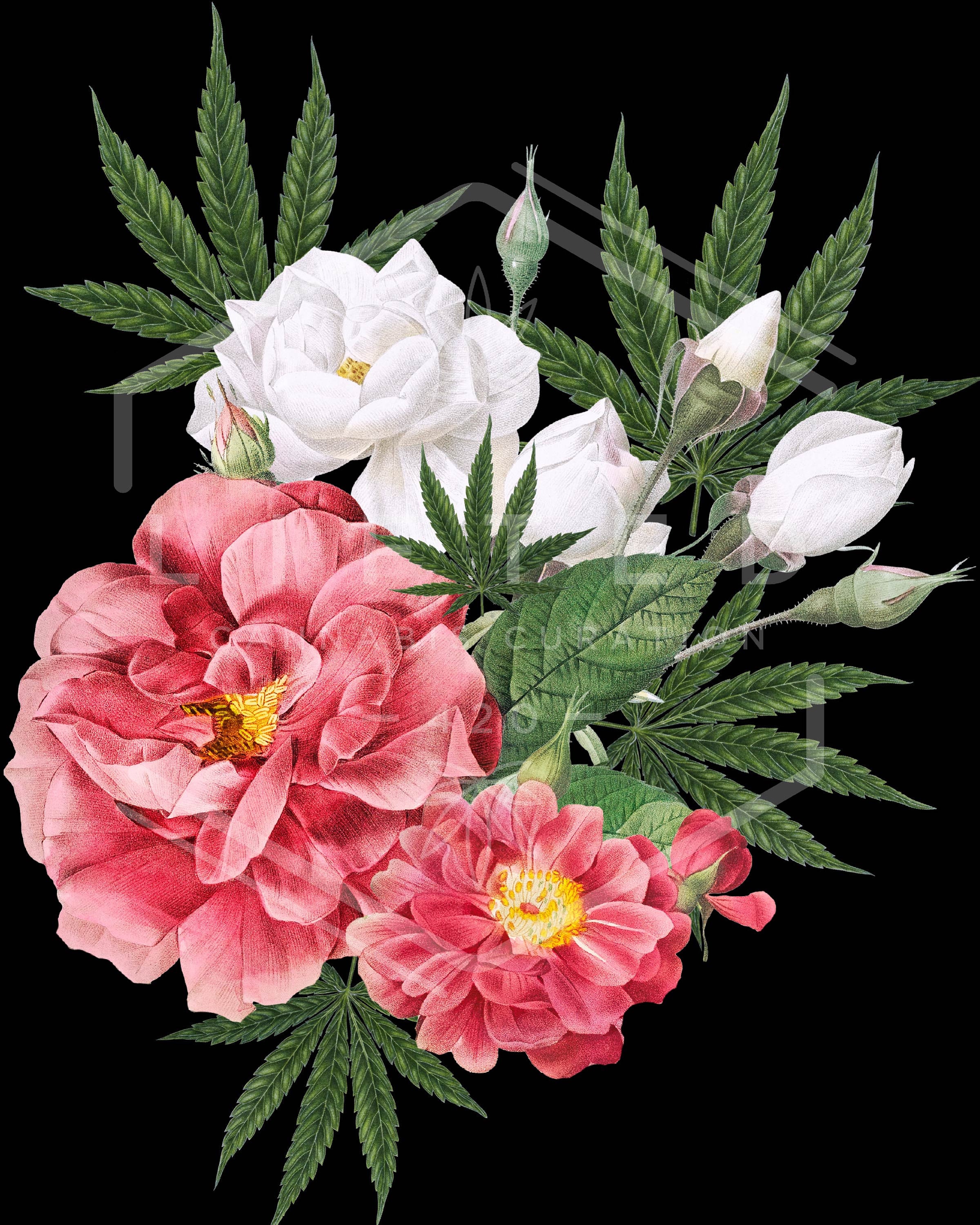 Weed Wall Art Floral Fine Art Cannabis Living Room Decor - Etsy