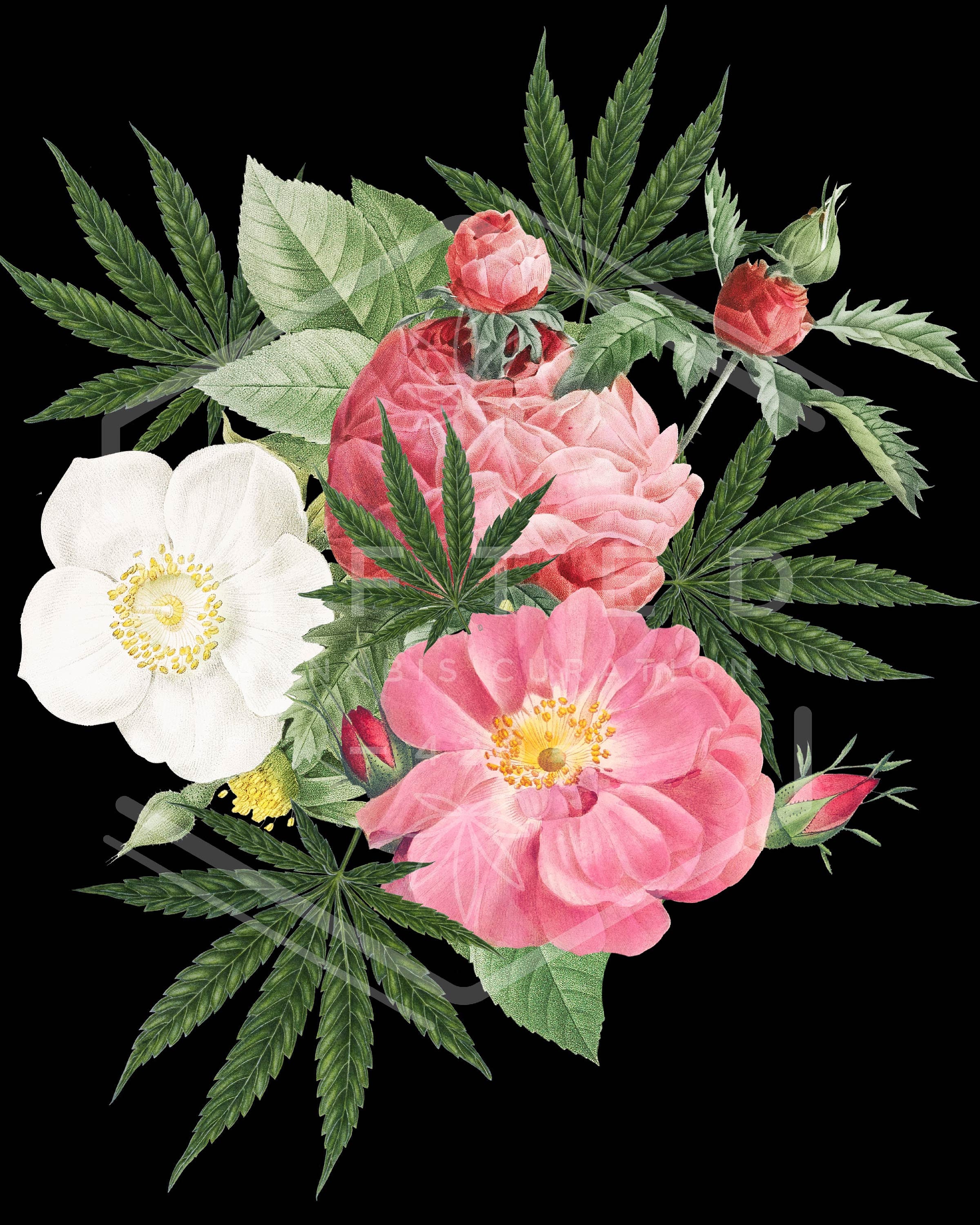 Cannabis Wall Art, Floral Wall Art Print, Bedroom, Home Decor, Stoner ...