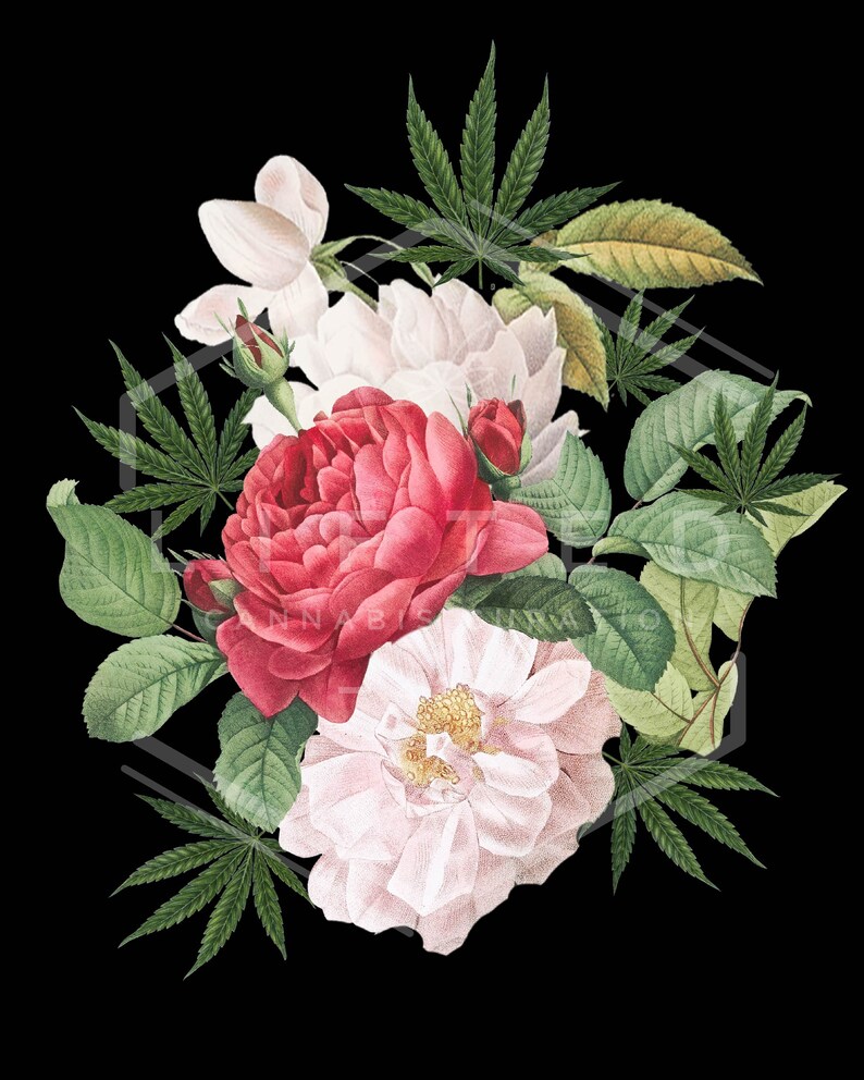 Cannabis Art, Cannabis Wall Art, Stoner Girl, Home Decor, Floral ...