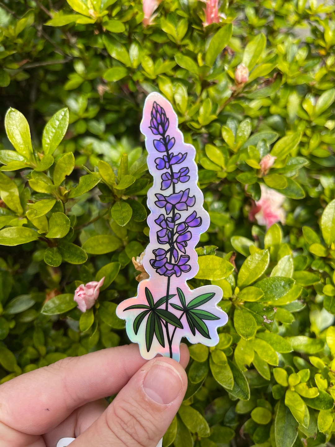 Holographic Purple Lupine Flower Vinyl Sticker | Superbloom | Humboldt ...