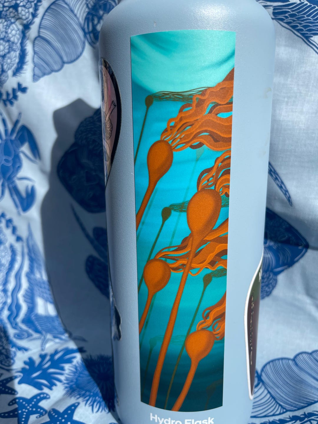 Bull Kelp Sticker | Ocean Lovers Stickers | Seaweed Vinyl Sticker ...