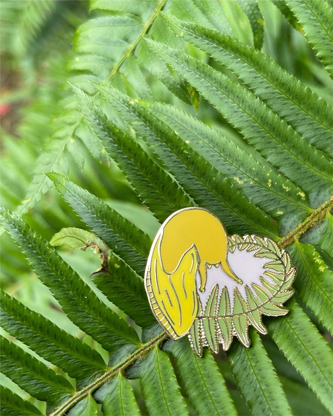 Banana Slug and Fern Hard Enamel Pin | Redwood Forest | Redwood ...