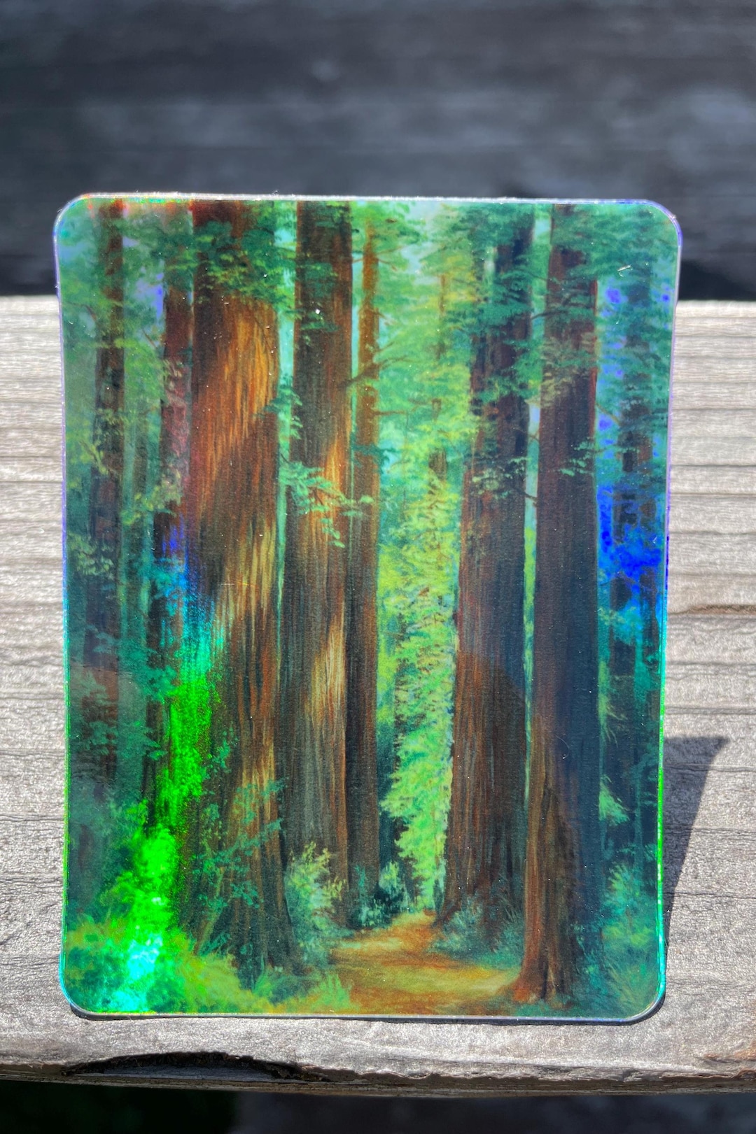 Redwood Forest Holographic Vinyl Sticker | Weatherproof | Redwood ...