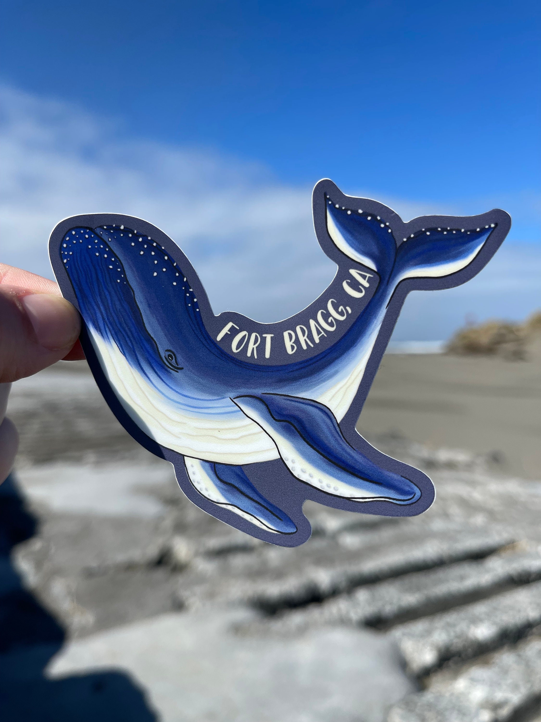Fort Bragg Humpback Whale Sticker Ocean Lovers Stickers - Etsy