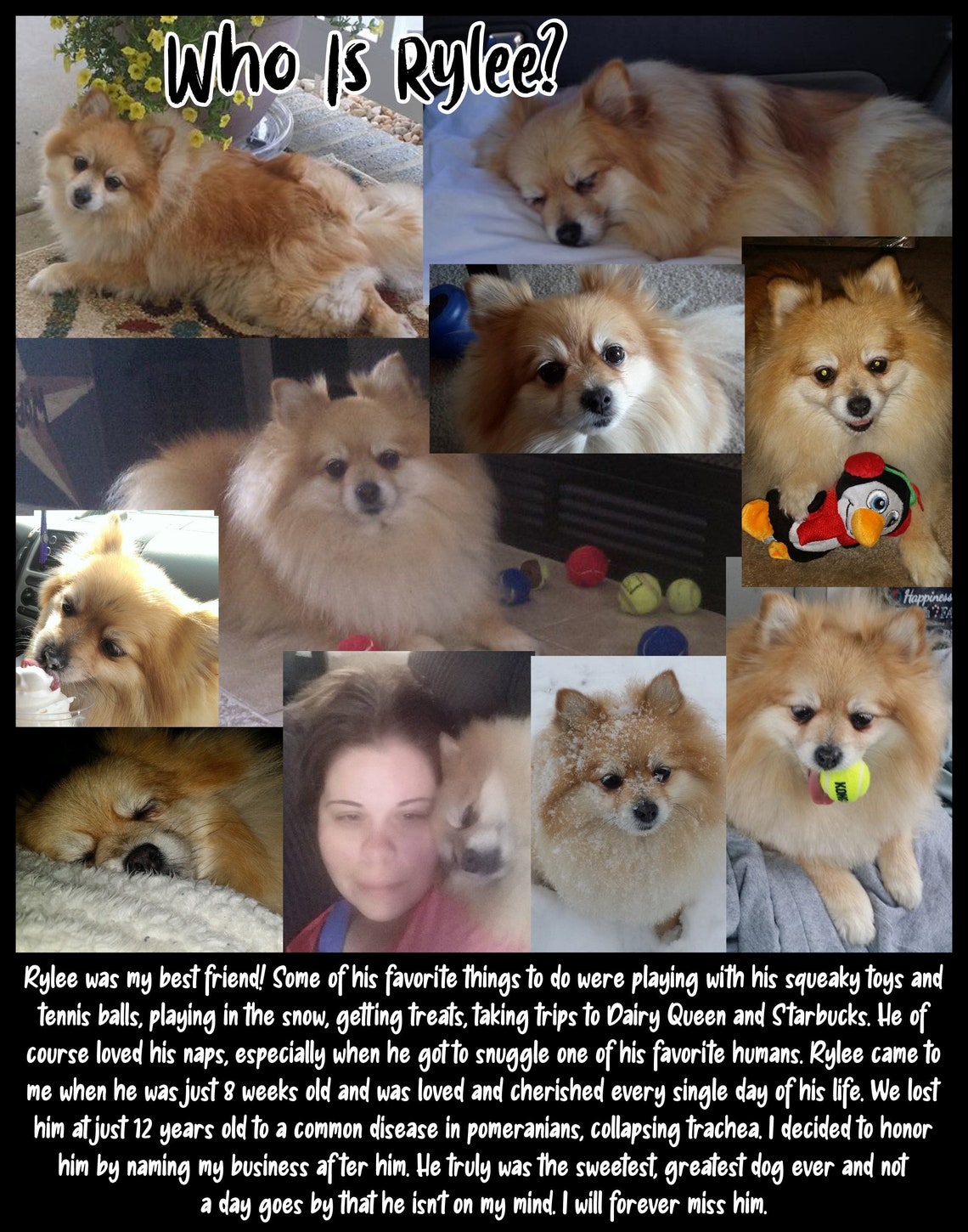 Eye Chart Badge Reel Snellen Chart Ophthalmology Badge - Etsy