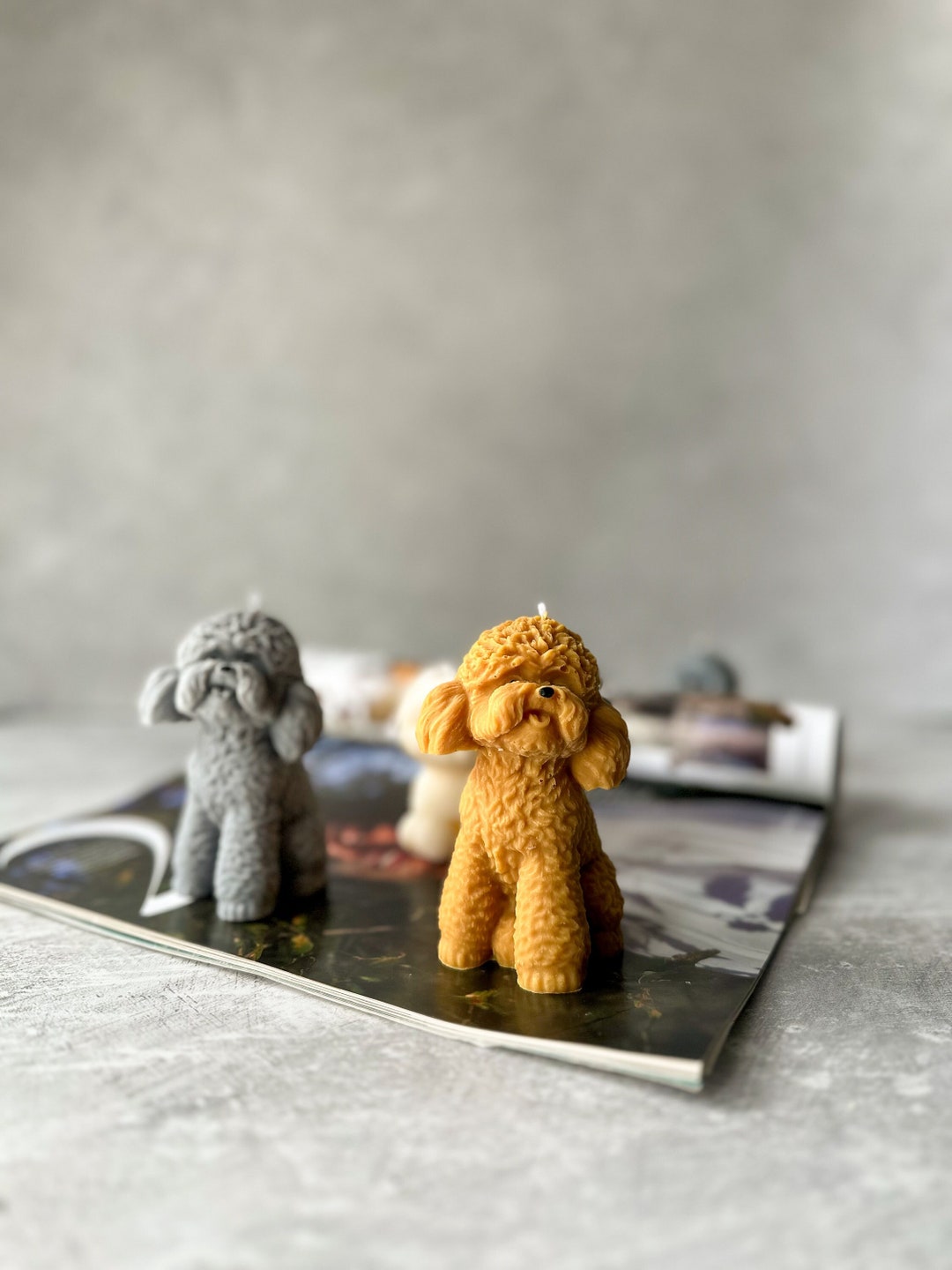 Large Dog Candle | Puppy Candle | Dog Lovers Gift | Teddy Dog | Bichon ...