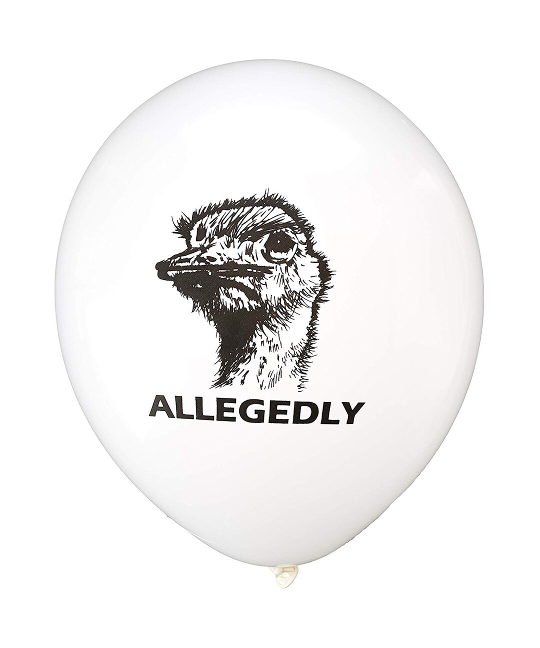Allegedly Ostrich Balloon - 12 Inch/25 Pack - Letterkenny - Etsy
