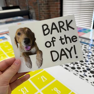 Bark of the Day Whiteboard Clings | Classroom Ideas for Dog Lovers ...