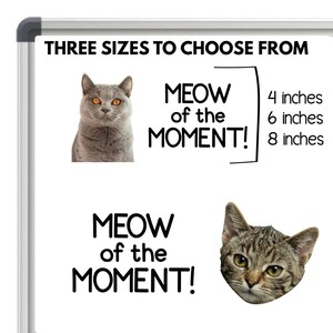 Meow of the Moment Whiteboard Clings | Classroom Ideas for Cat Lovers ...