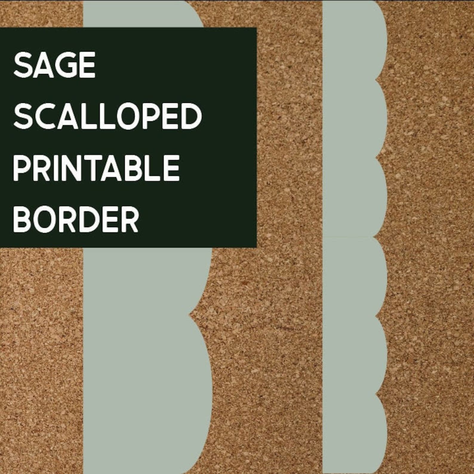 Modern Sage Scalloped Bulletin Board Border | Printable PDF | Modern ...