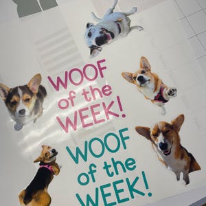 Woof of the Week Whiteboard Clings | Classroom Ideas for Dog Lovers ...