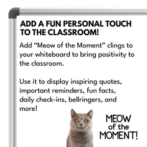 Meow of the Moment Whiteboard Clings | Classroom Ideas for Cat Lovers ...