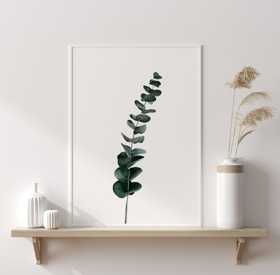 Eukalyptus Poster Eucalyptus Print Botanical - Etsy