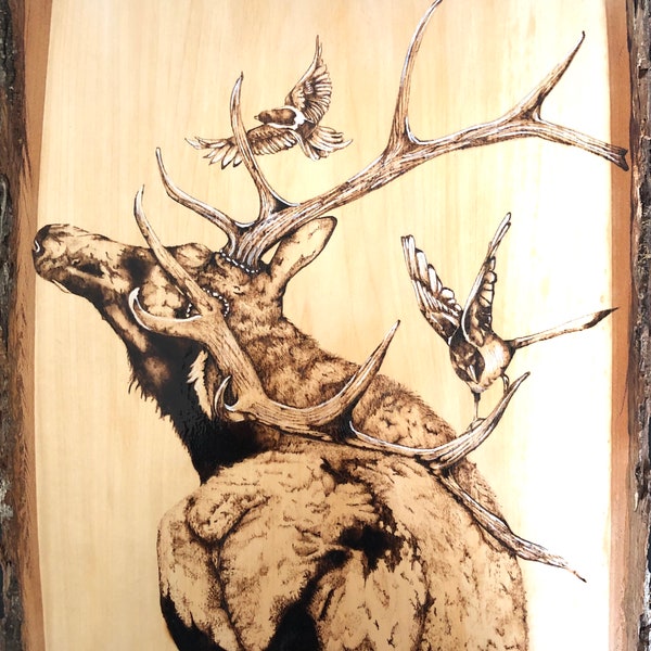 Wood Burning - Etsy