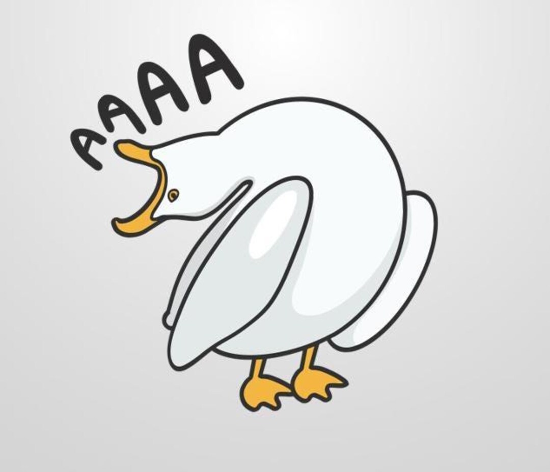 Screaming Seagull Meme Sticker – Funny Bird Vinyl Decal for Laptops ...
