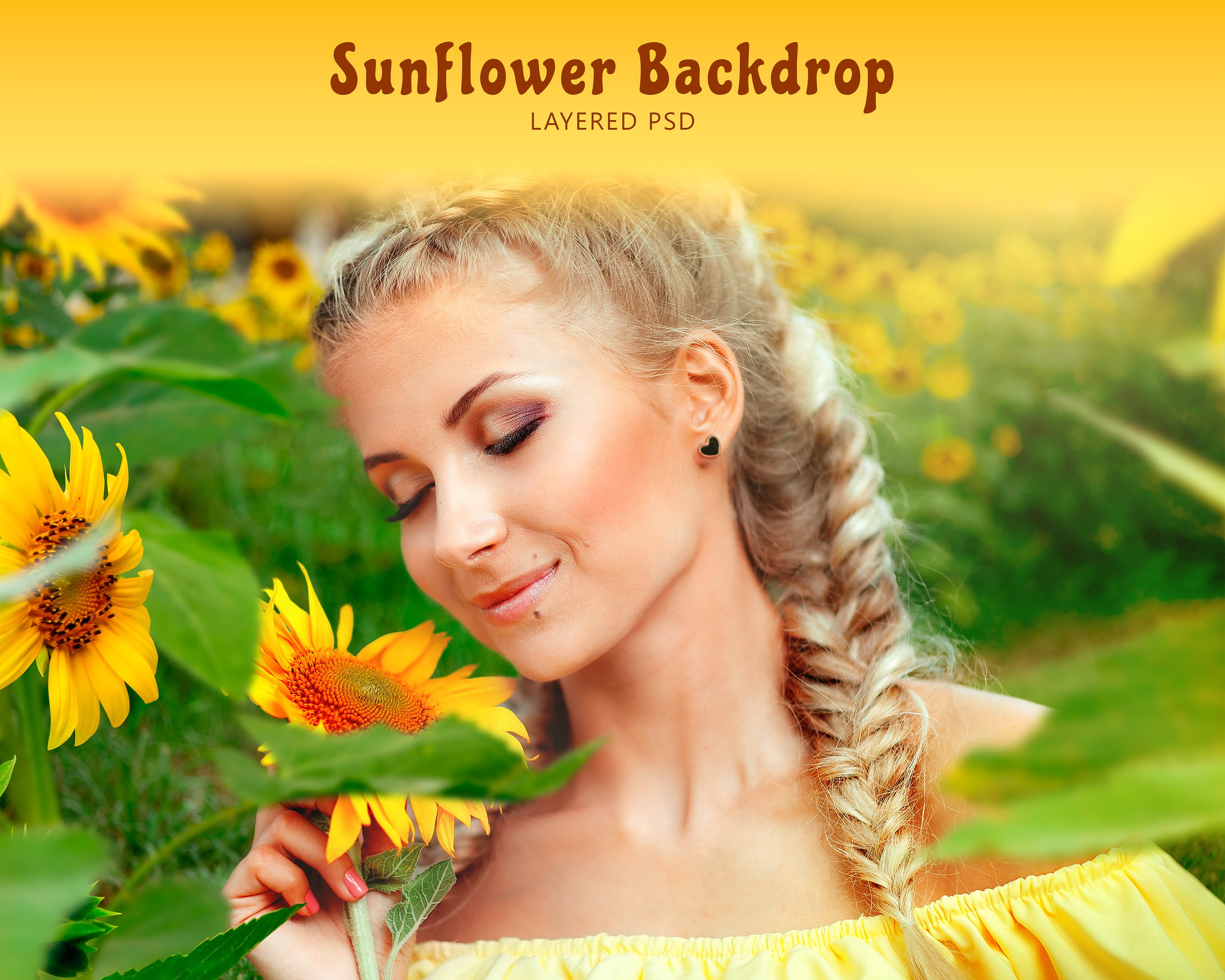 Sunflower Backdrop Digital Layered Photoshop Summer - Etsy