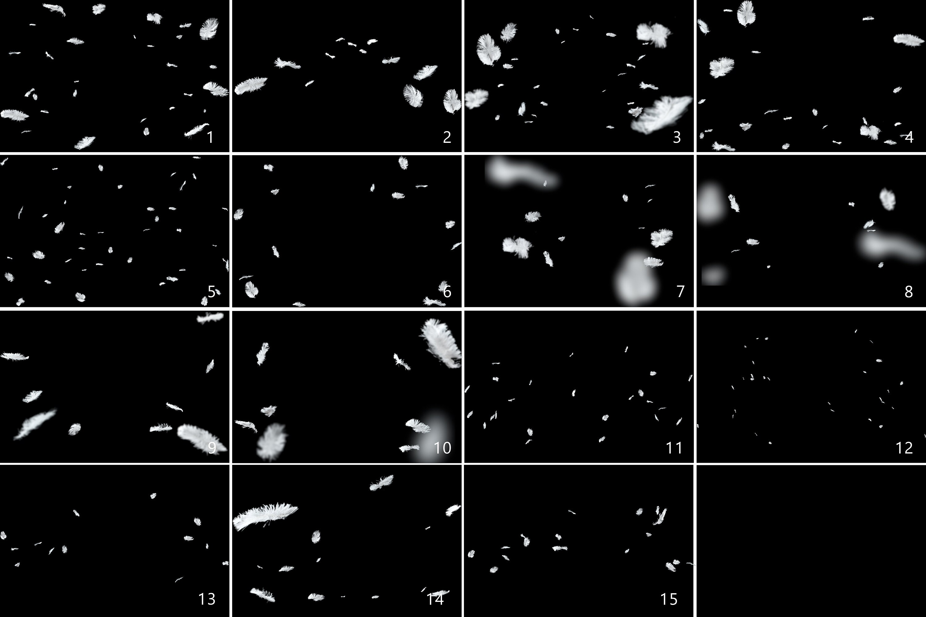 Falling Feathers Overlay Falling Feathers - Etsy