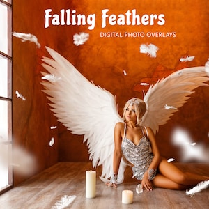 Falling Feathers Overlay, Falling Feathers - Etsy