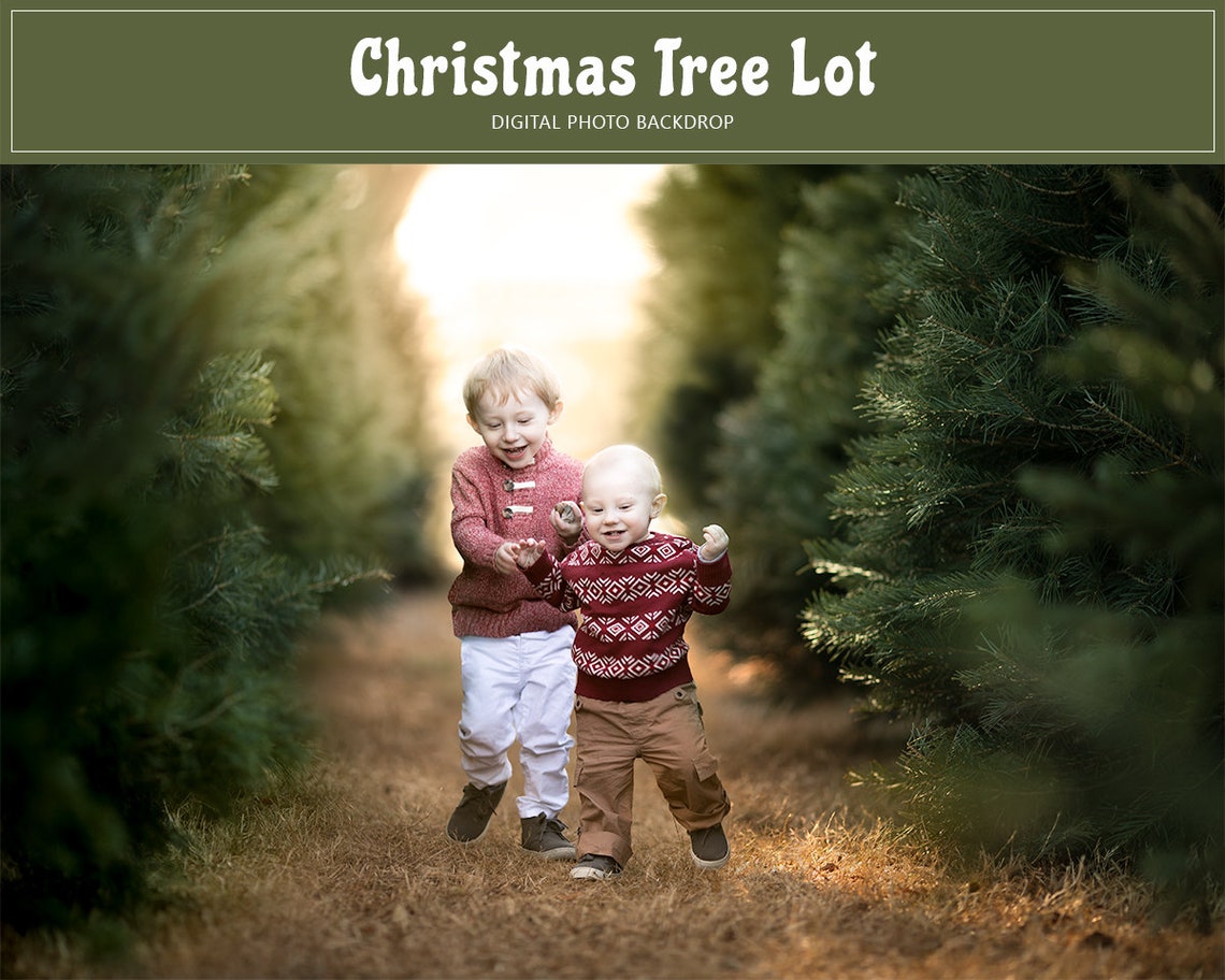 Christmas Tree Lot Backdrop Digital Photoshop Background - Etsy