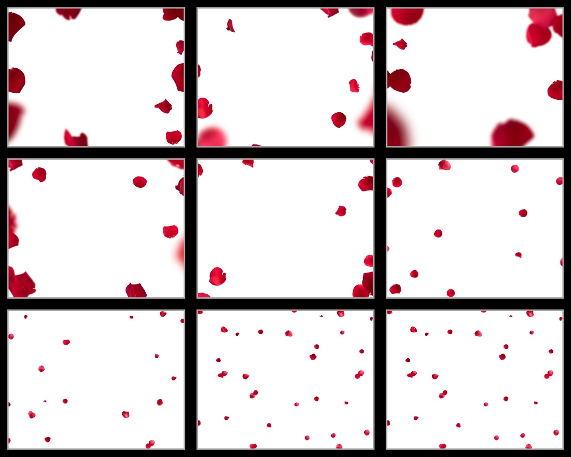 Rose Petal Overlays Romantic Valentine Overlays - Etsy