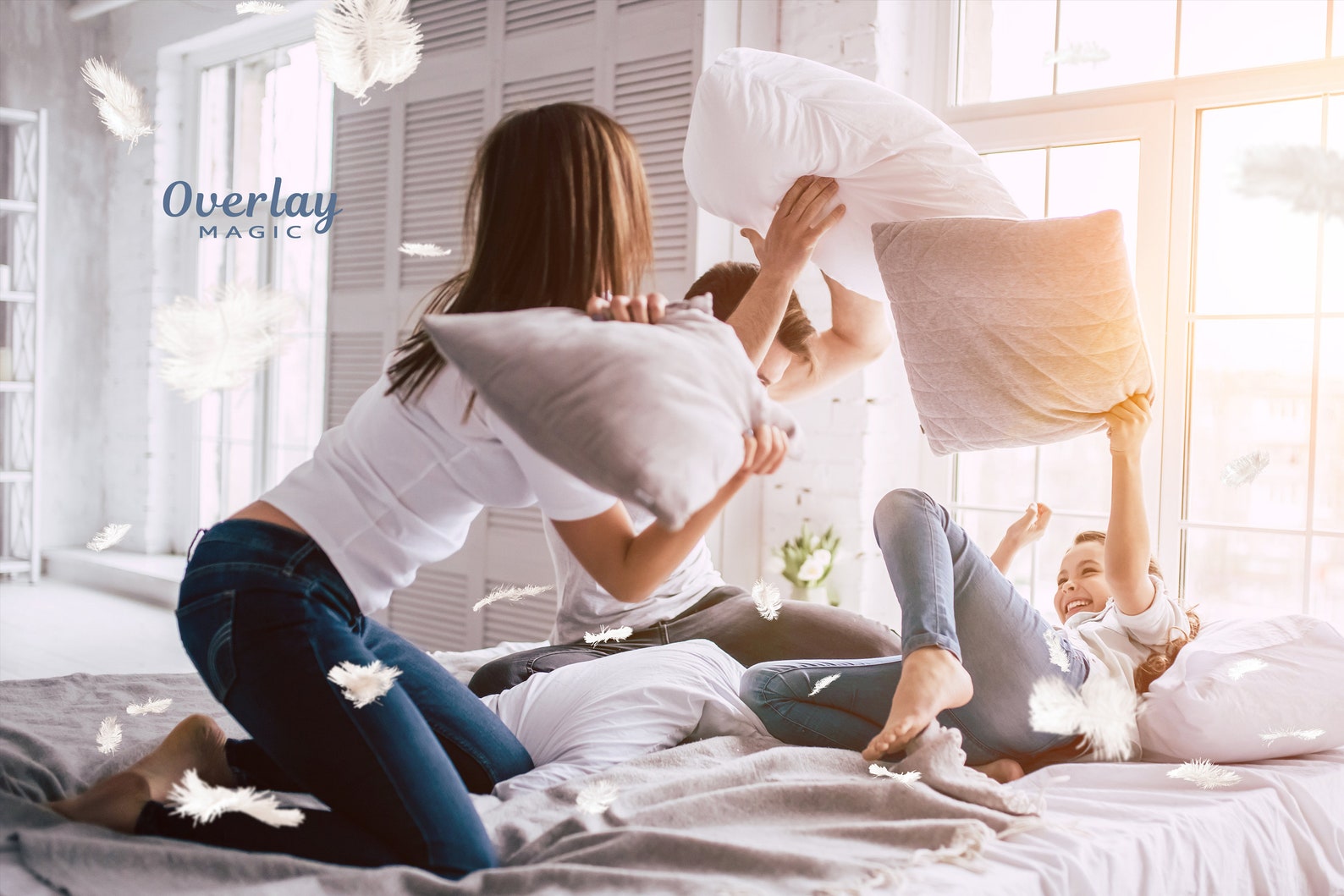 Falling Feathers Overlay Falling Feathers | Etsy