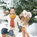 Snowball Fight Overlay, Photoshop Composite - Etsy