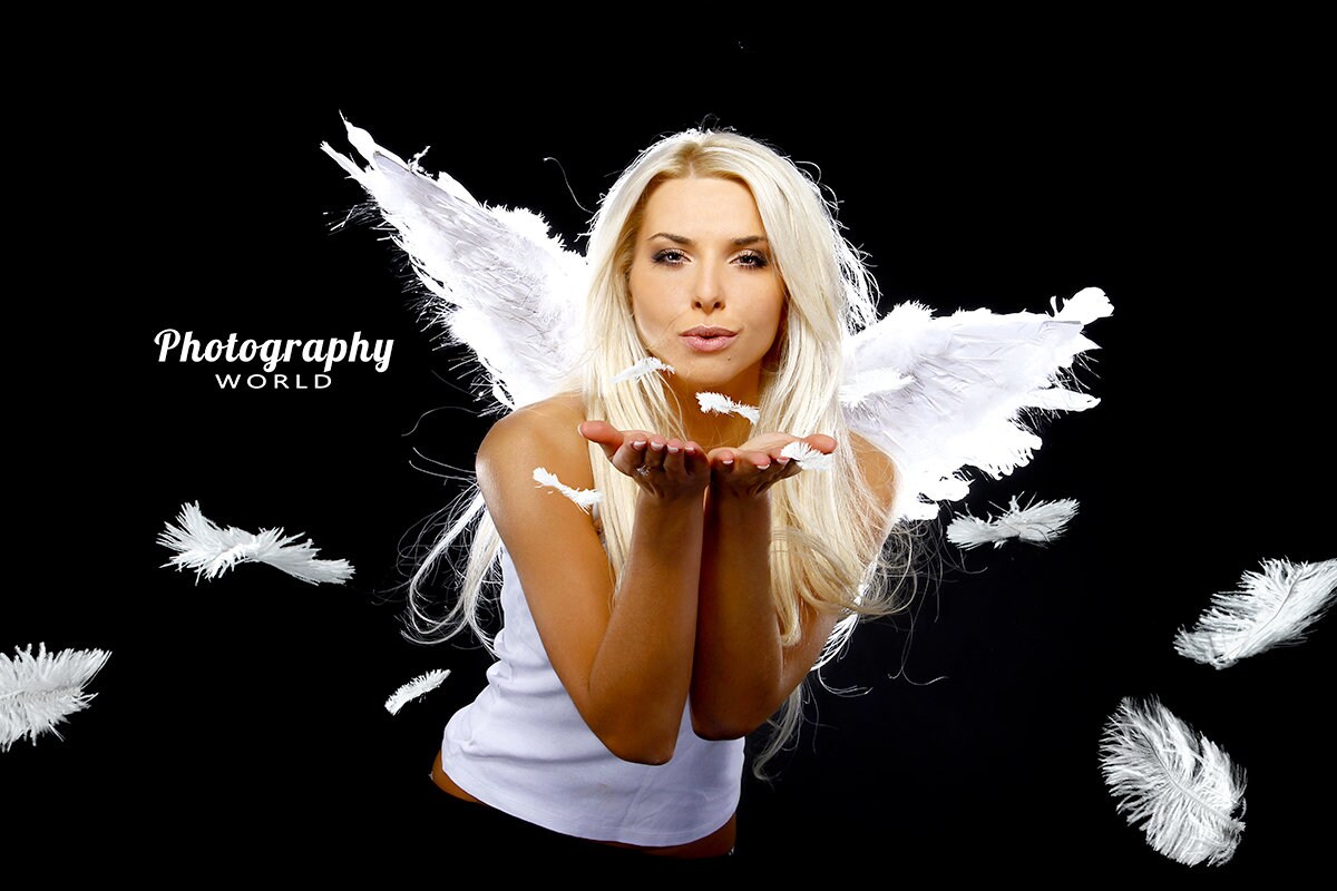 Falling Feathers Overlay Falling Feathers - Etsy