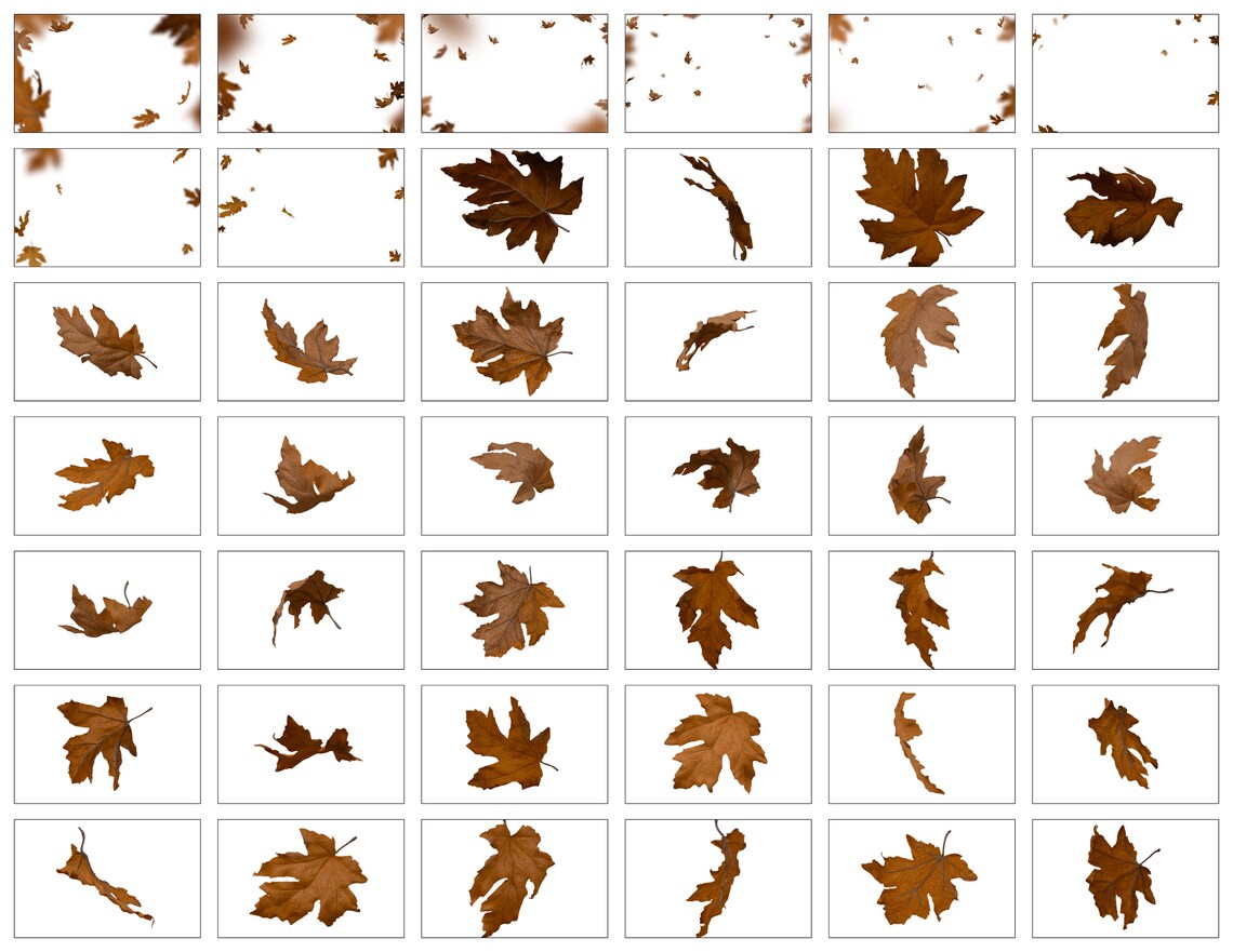 50 Realistic Falling Leaf Overlays, Brown - Etsy