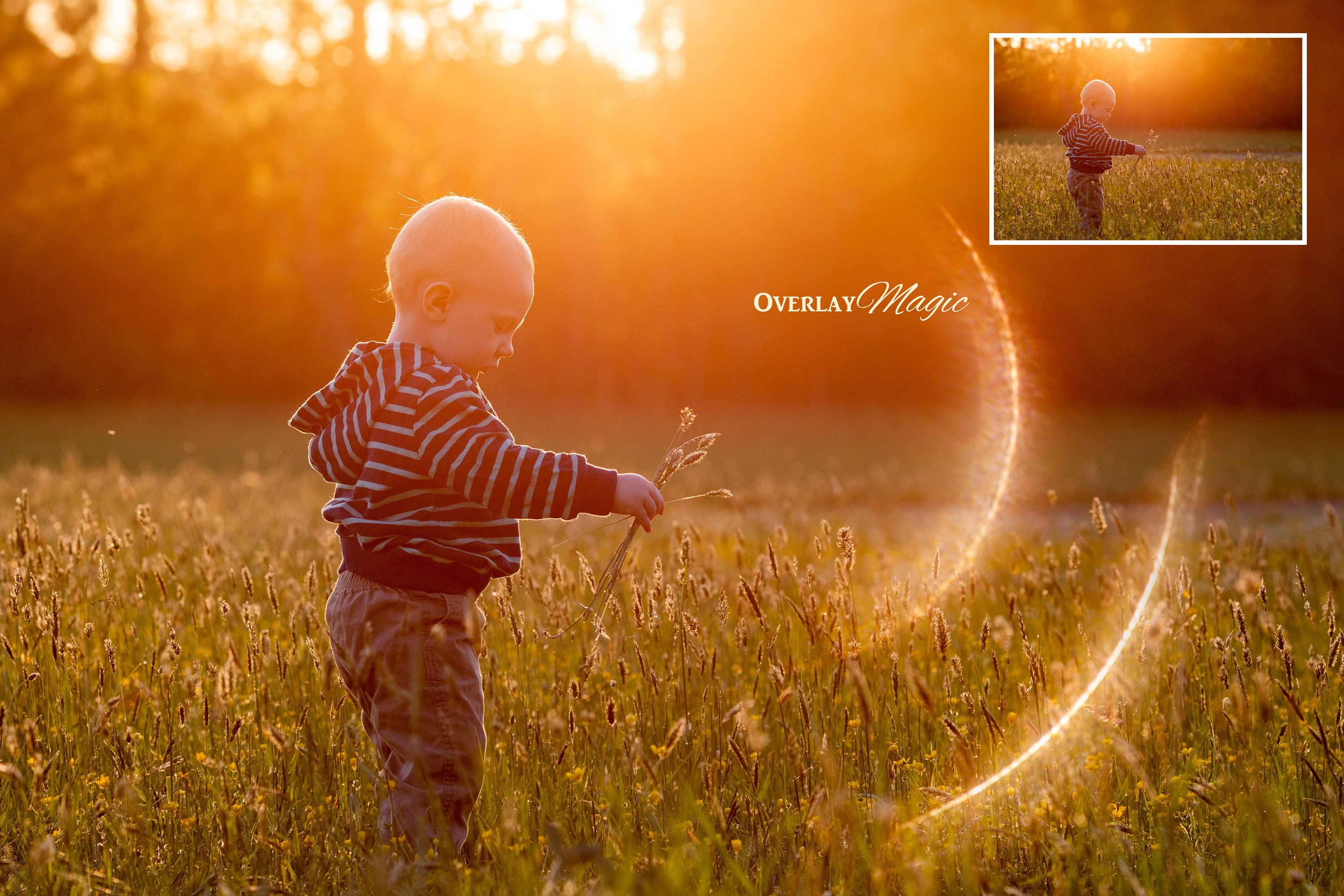 Ring Lens Flare Overlays Sunflares | Etsy