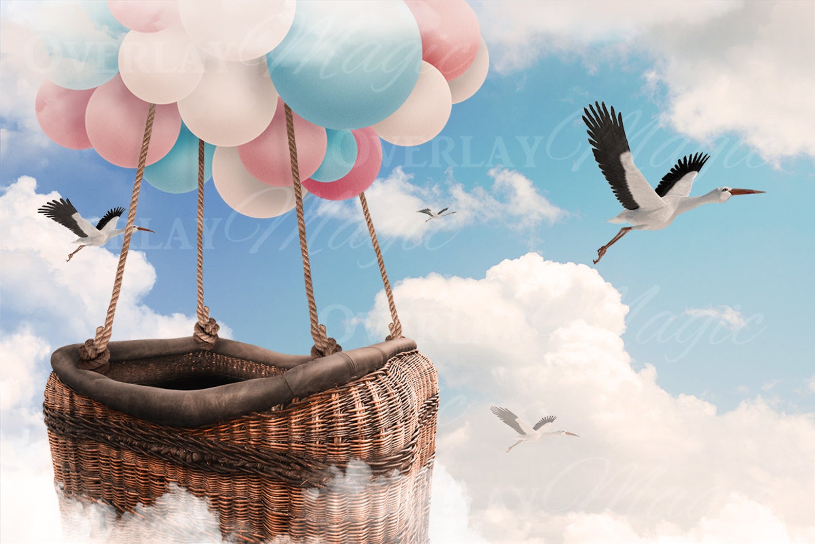 Hot Air Balloon, Storks Backdrop, Pregnancy Announcement, Digital ...