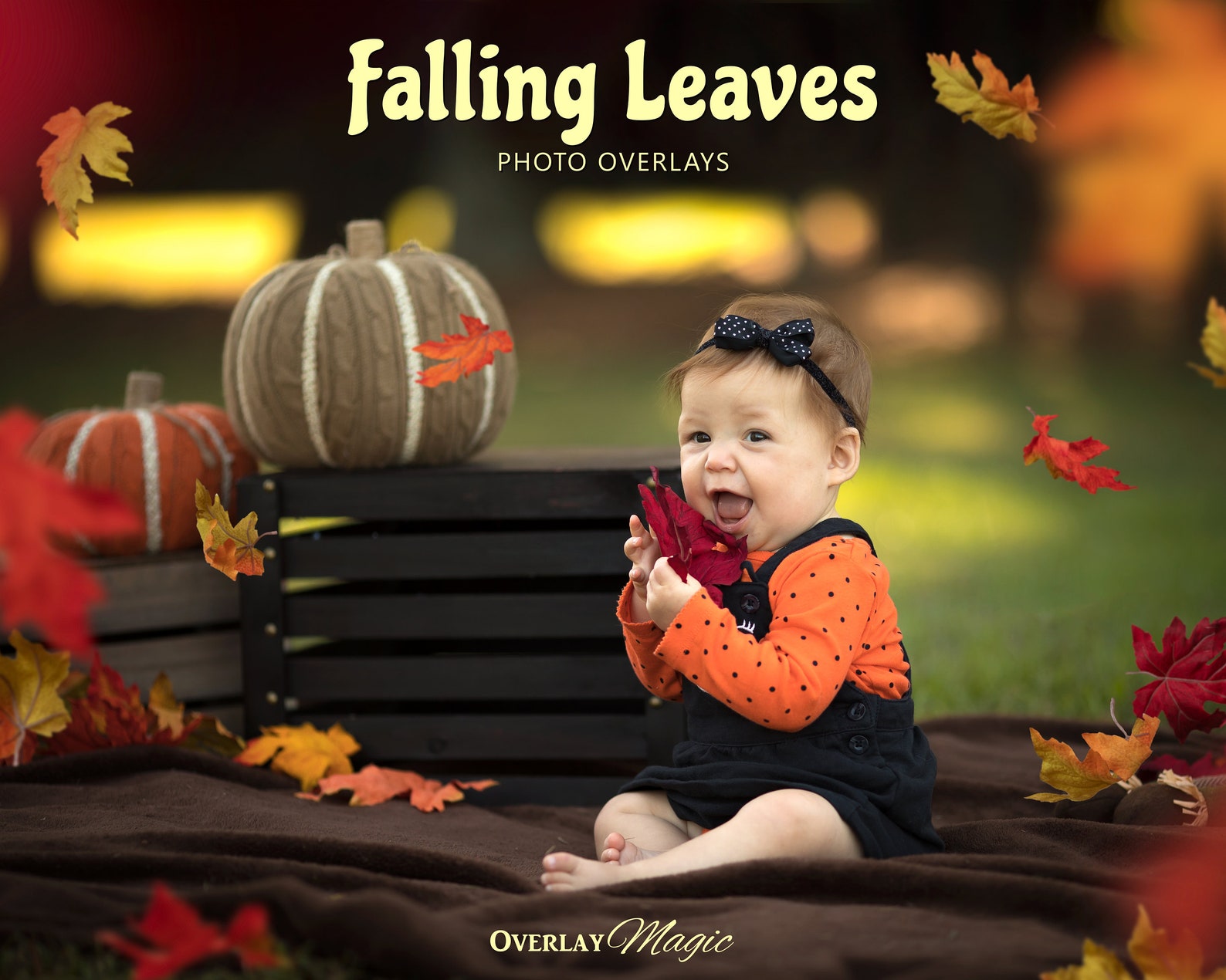 50 Autumn Leaves Overlays, Colorful Falling Leaves - Etsy