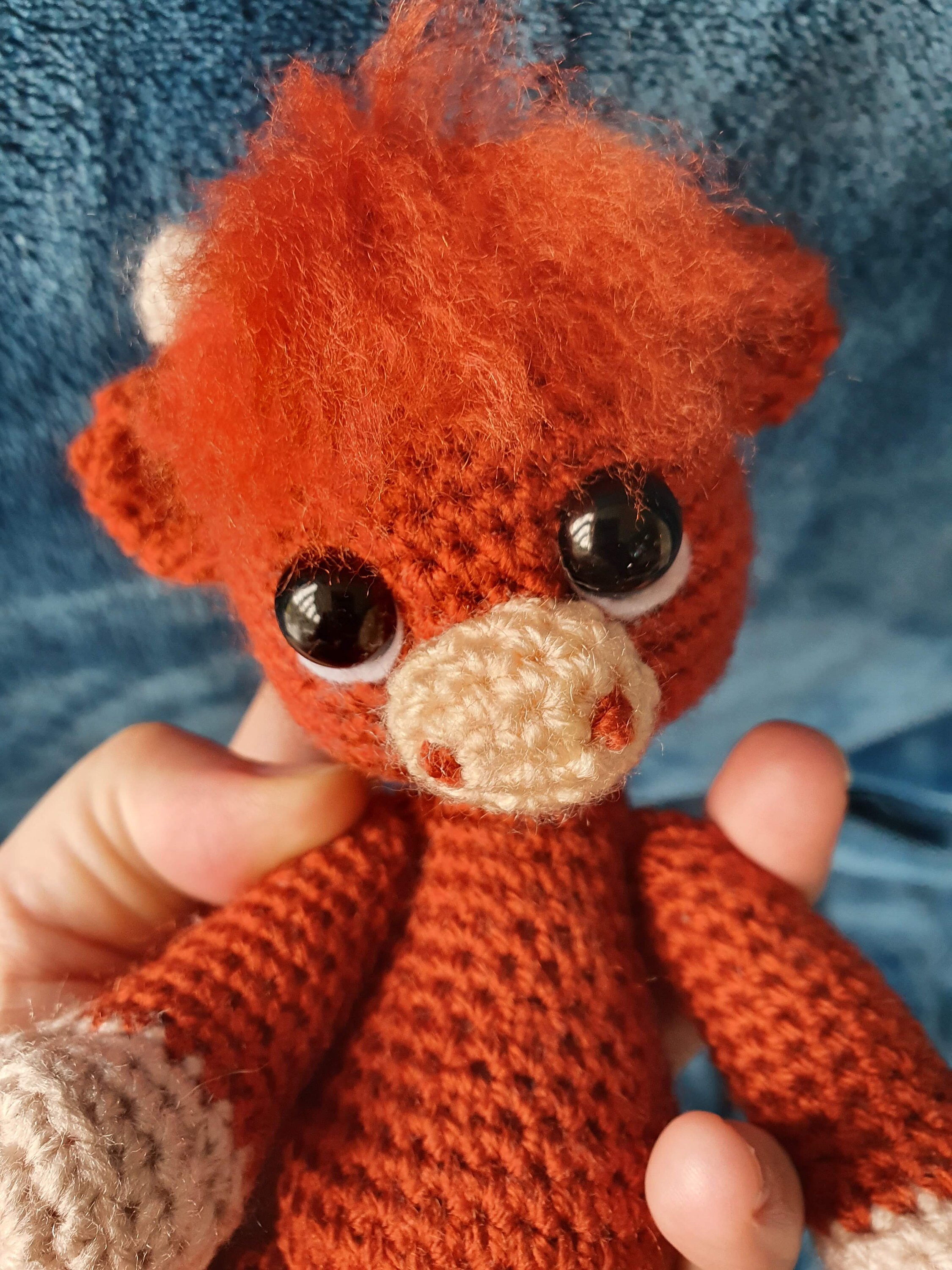 Aggie the Baby Highland Cow - Etsy