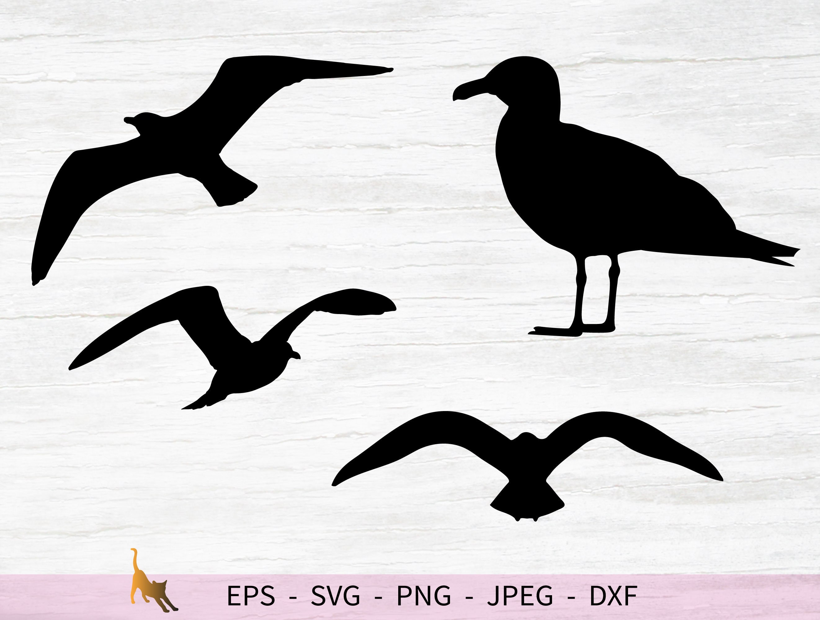 Seagull Svg Ocean Svg Bird Svg Files For Cricut | Etsy