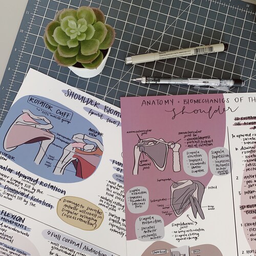 Human Anatomy Study Notes/ Art Print lower Body - Etsy