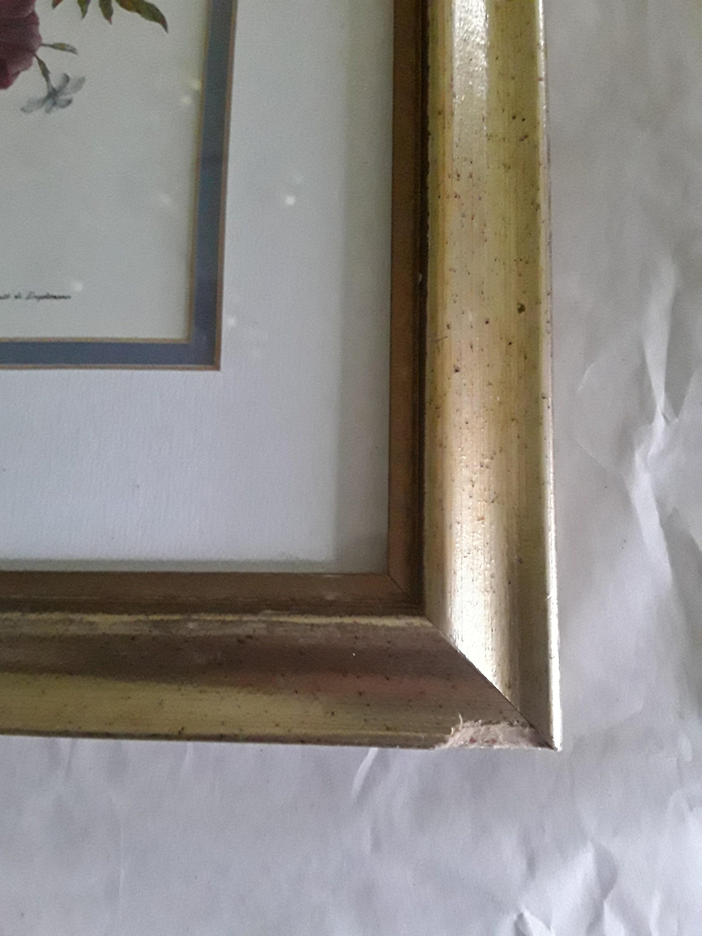 P. Oudart 1829 Lithe De Engelmann Matted and Framed Pair of Floral ...