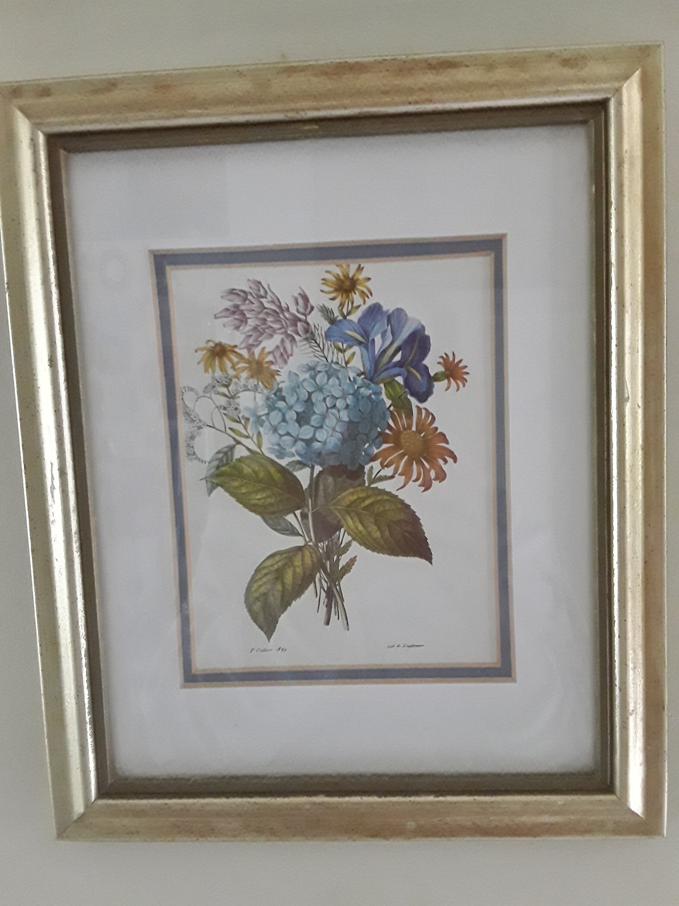 P. Oudart 1829 Lithe De Engelmann Matted and Framed Pair of Floral ...