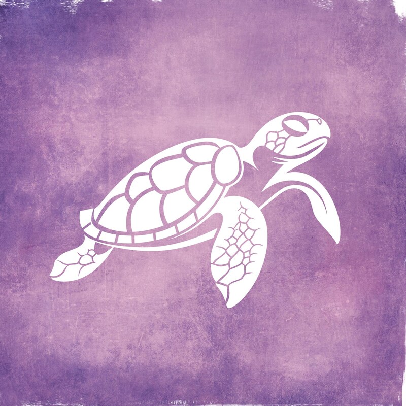 Turtle Decal - Etsy
