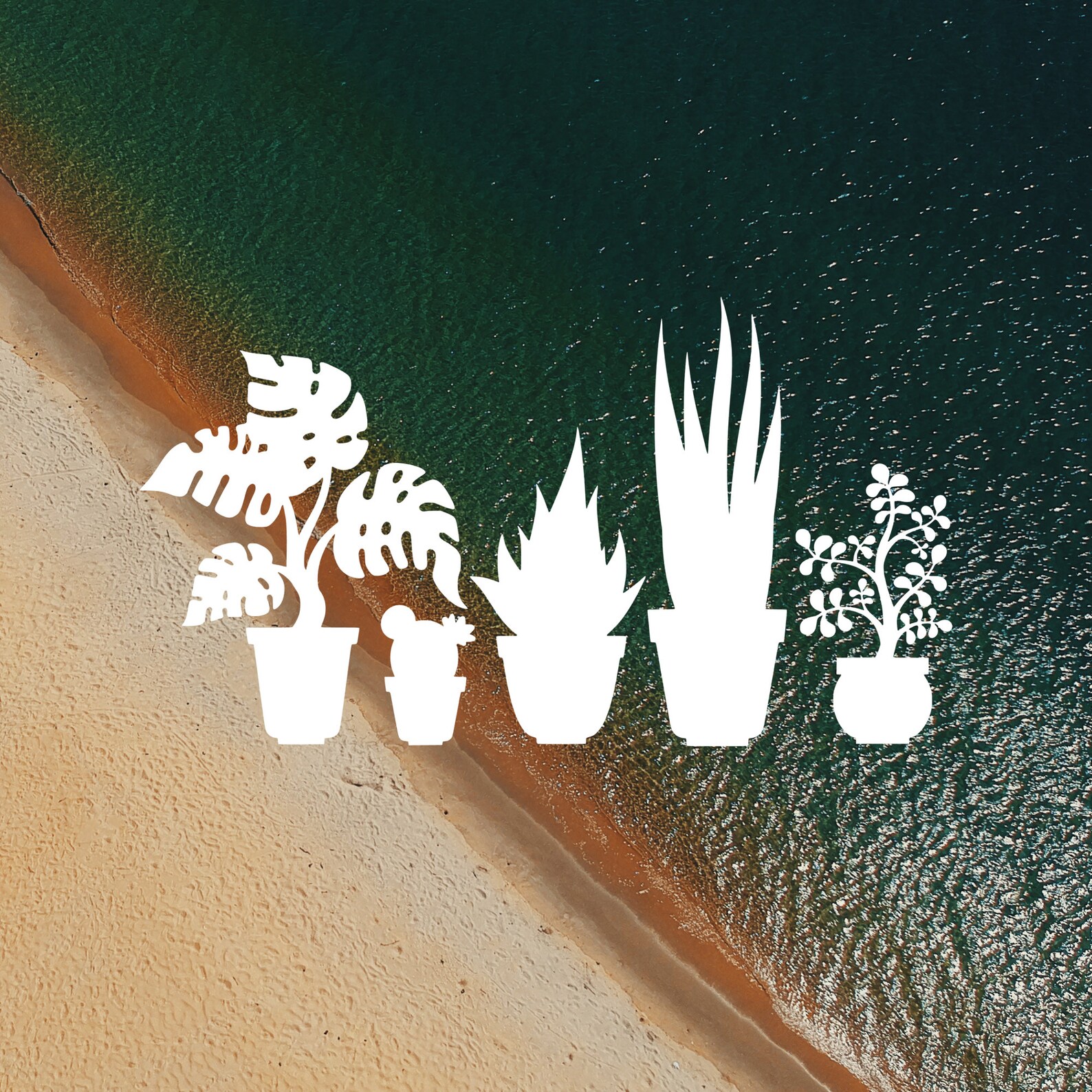 Five Plants Vinyl Decal Plant Decal Boho Decal Bohemian - Etsy