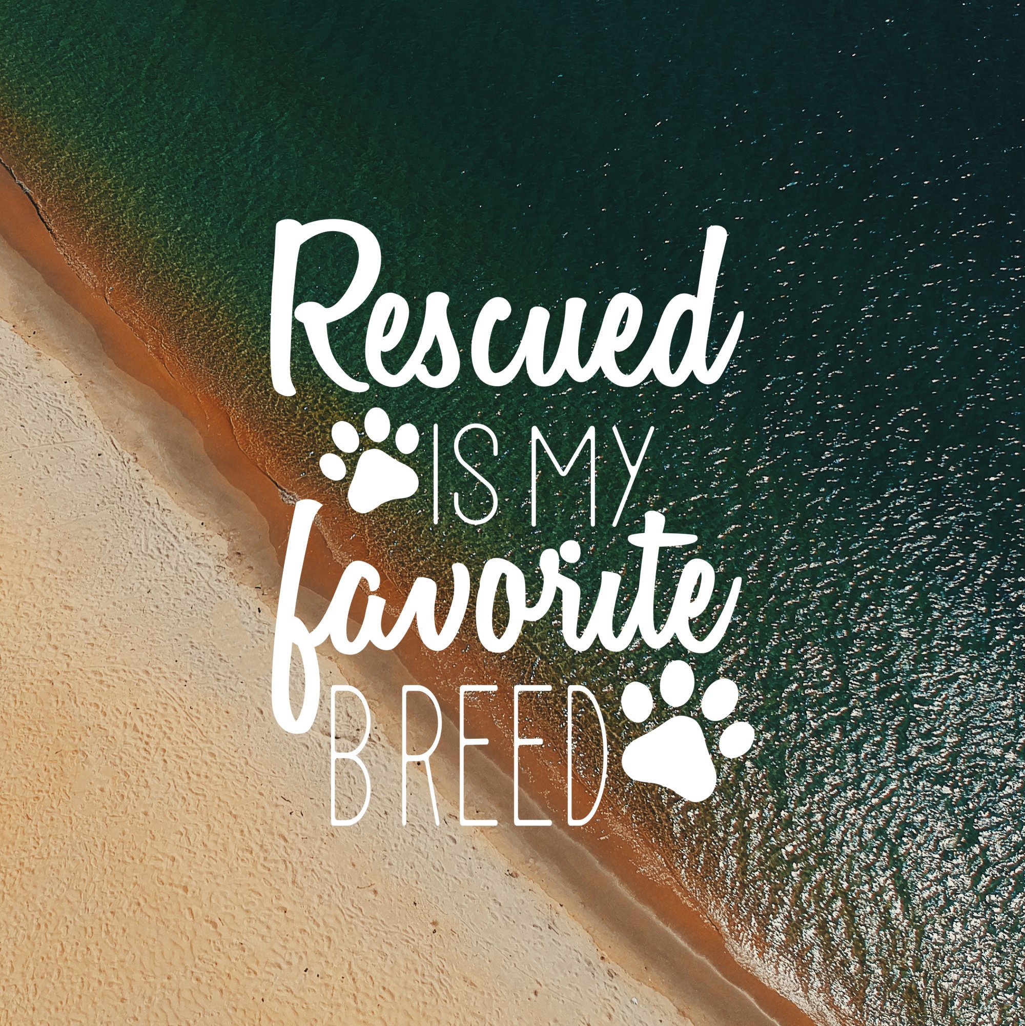 Rescue is My Favorite Breed - Etsy