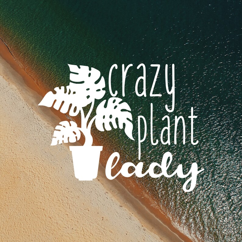 Crazy Plant Lady Vinyl Decal | Plants Decal | Boho Decal | Bohemian ...