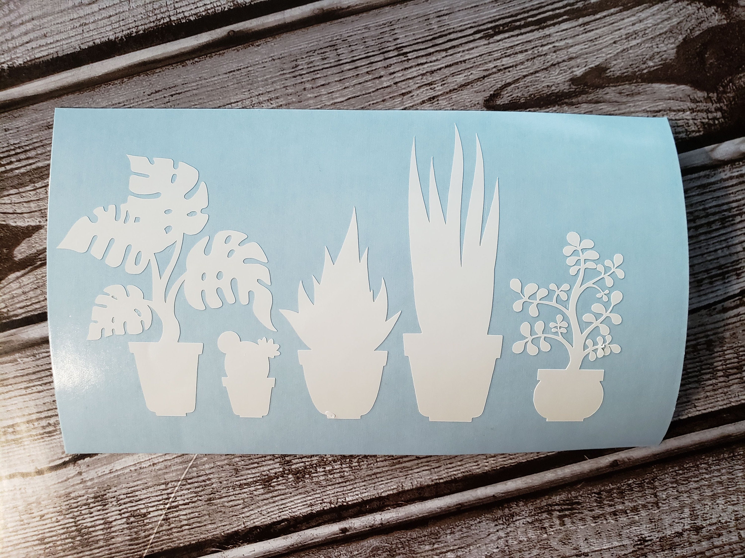 Five Plants Vinyl Decal Plant Decal Boho Decal Bohemian - Etsy