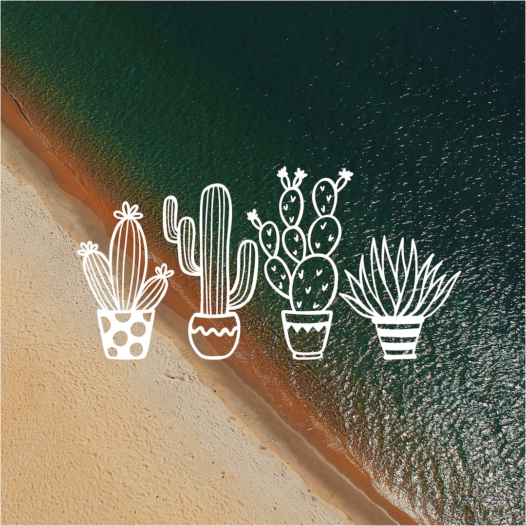 Cactus Plants Vinyl Decal Cactus Decal Boho Decal Bohemian Decor ...