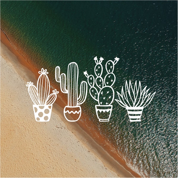 Cactus Decal - Etsy