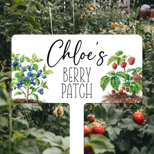 Garden Sign Personalized, Berry Patch Sign Custom, Berry Bush Sign ...