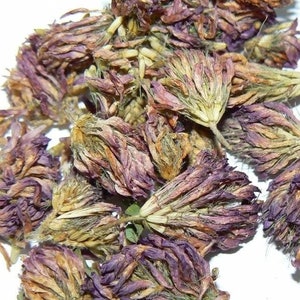 Red Clover Blossoms Dried Red Clover Blossoms Decorations - Etsy