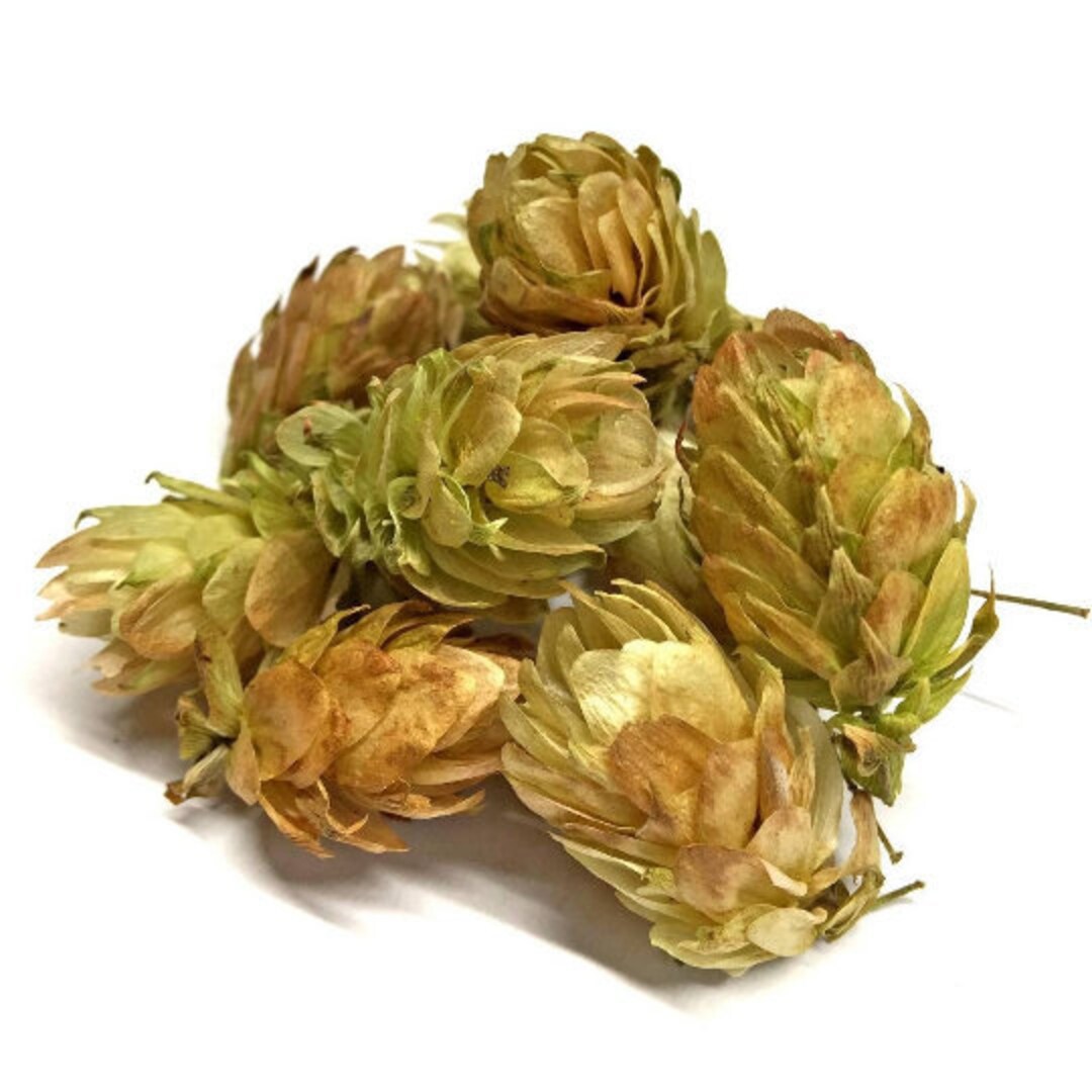 Dried Organic Hops Cones | Whole Hop Flowers for Herbal Tea, Sleep ...